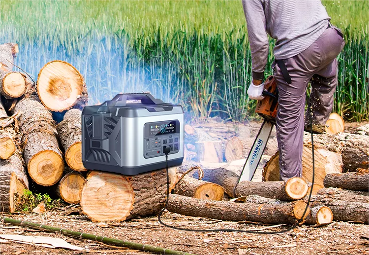 Power Your Future Sustainably with Lipower's 3000 Watt Solar Generator ...