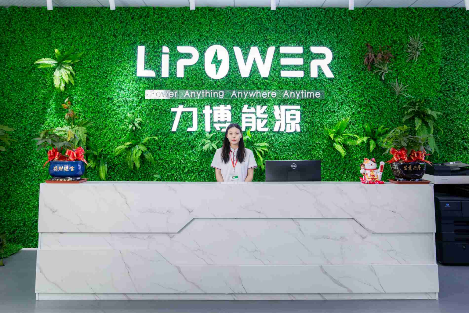Explore the Best Portable Power Station Wholesale Solutions at Lipower ...